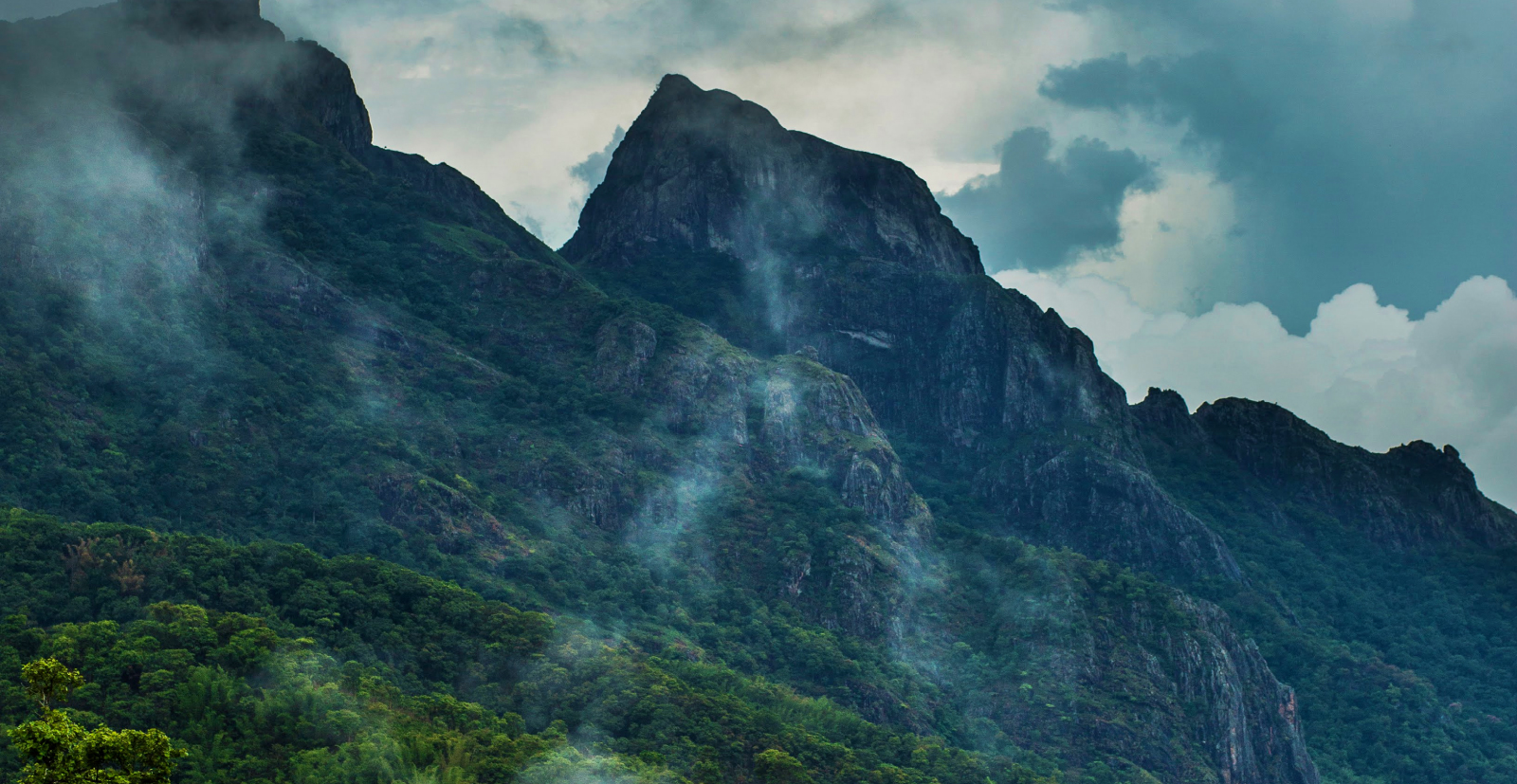 Soul of the Nilgiris with Ramya - Xplorium